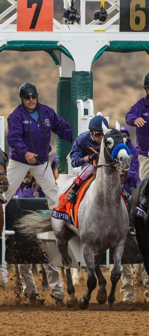 Home - Perkinson Racing Stables